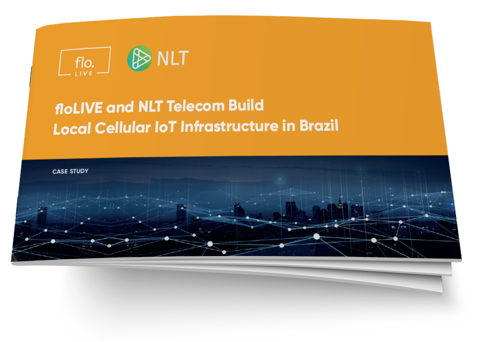 Expanding IoT Infrastructure in Brazil: A Case Study